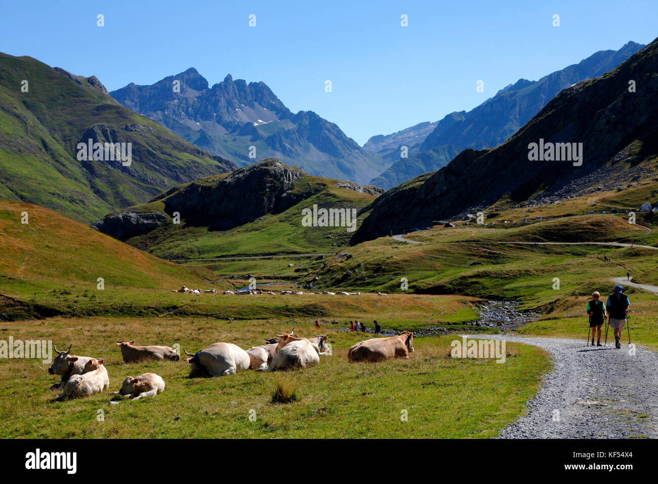 France, Nouvelle Aquitaine, Pyrenees atlantiques department (64), Bearn ...