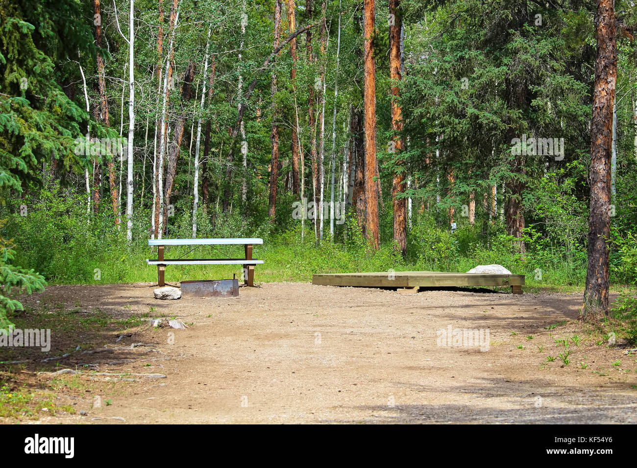 A campsite with a picnic table, fire ring and tent platform Stock Photo ...
