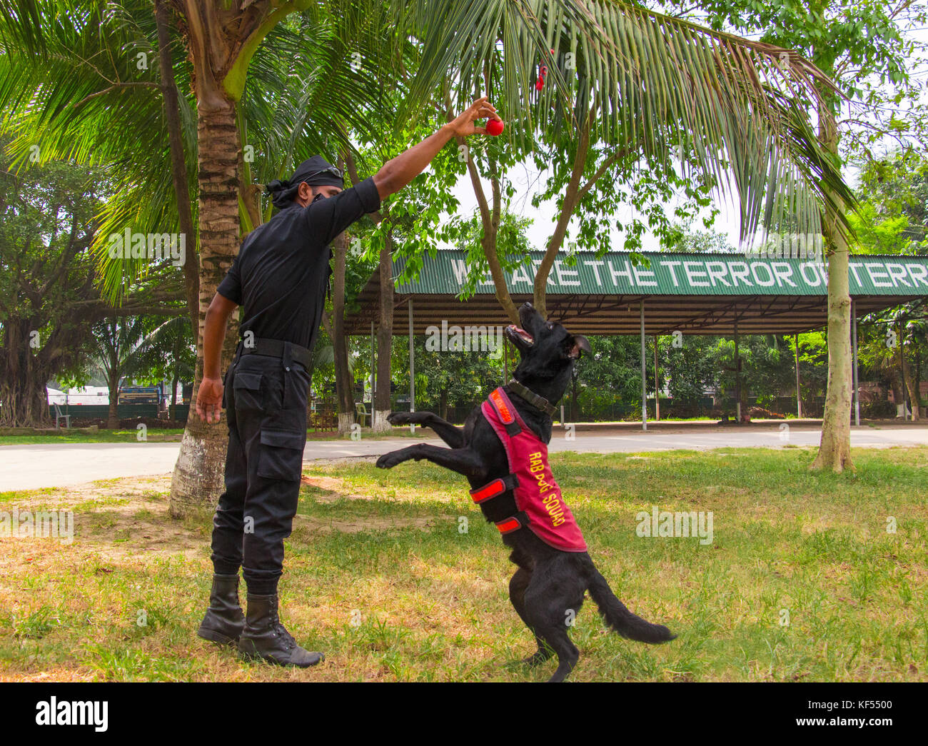 Dog Squad is amazing part for prevent terrorism, drug smuggling, bomb ...