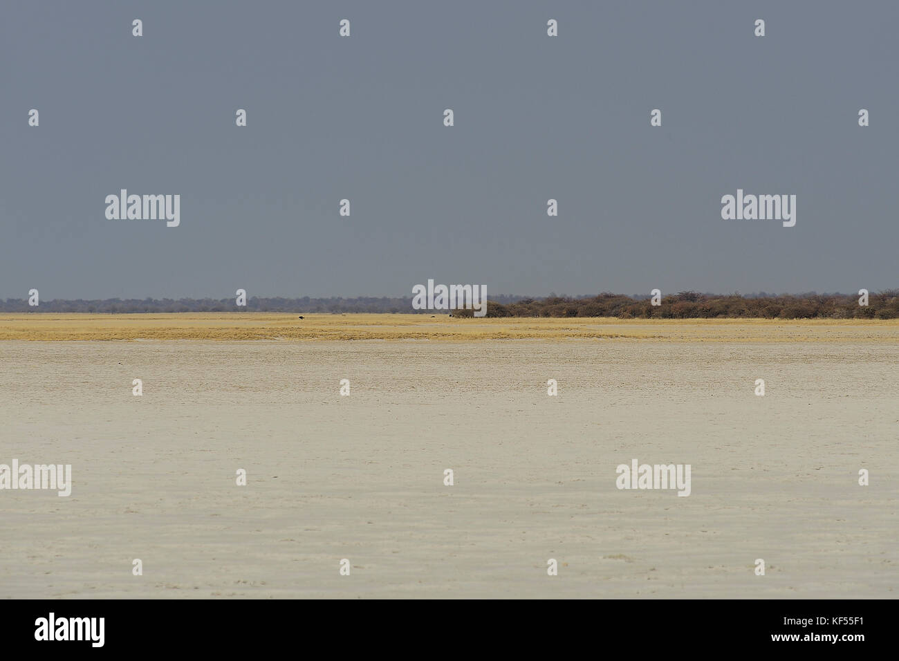 Africa, Southern Africa, Namibia, Province the North: Omusati, National ...