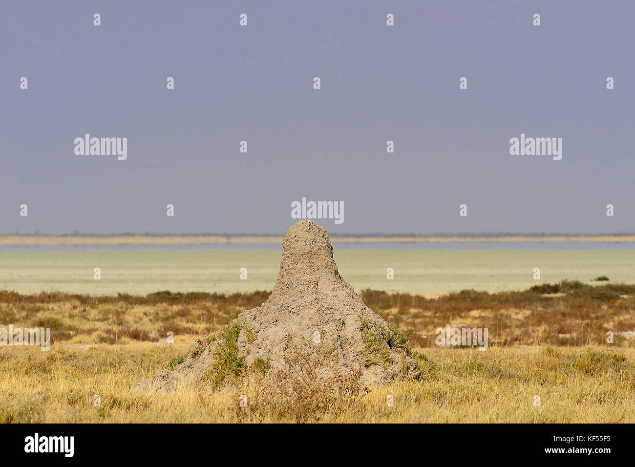 Africa, Southern Africa, Namibia, Province the North: Omusati, National ...