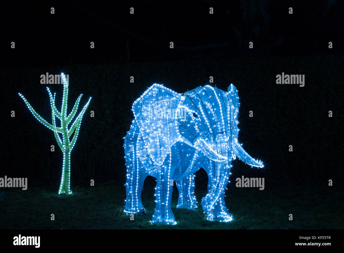 Blue Elephant Lantern at the Magical Lantern Festival,Roundhay Park ...