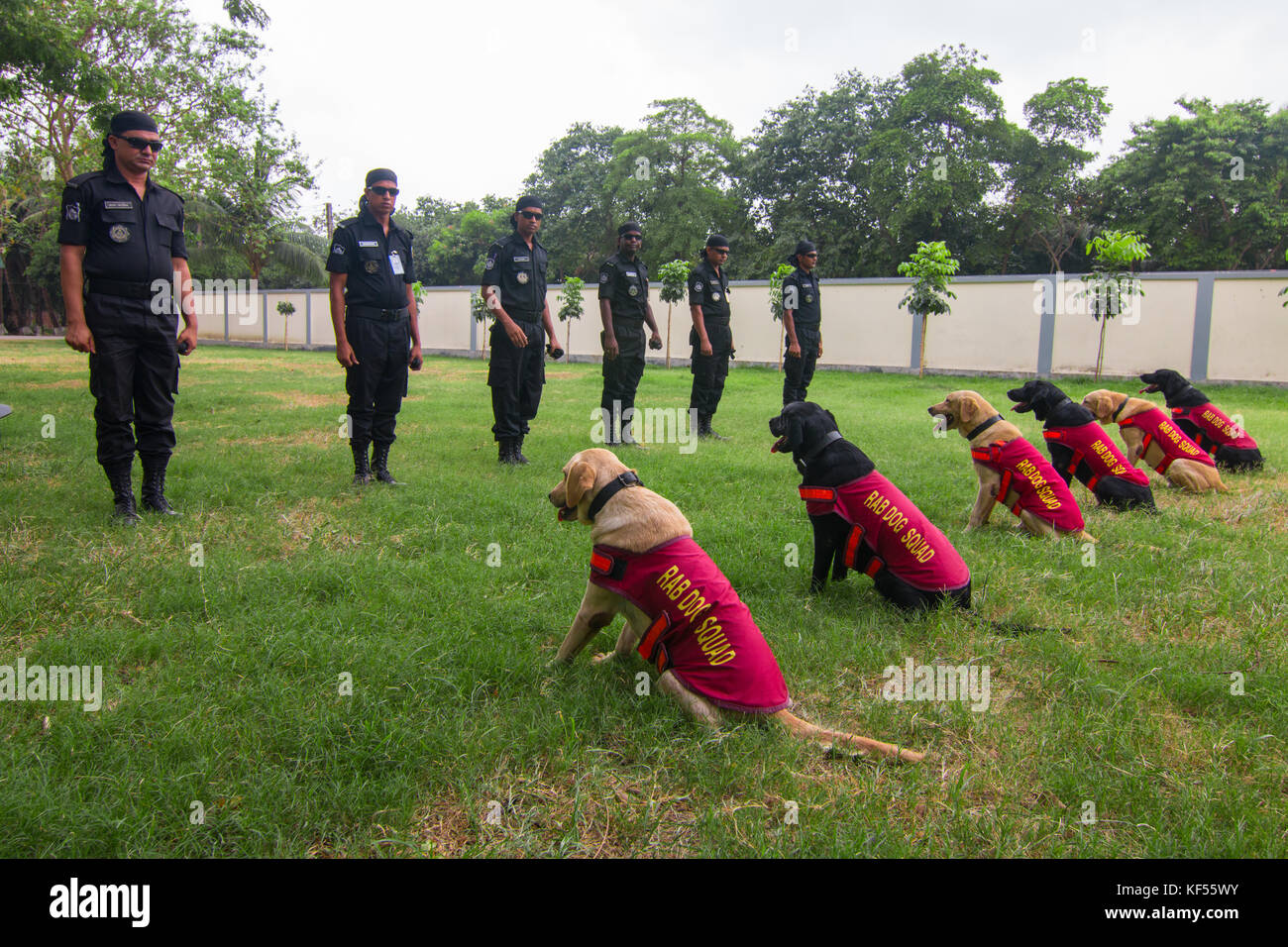 Rab dog squad hi-res stock photography and images - Alamy