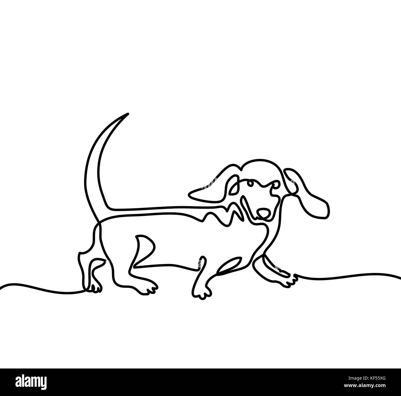 Continuous line drawing. Dog dachshund running. Vector illustration ...