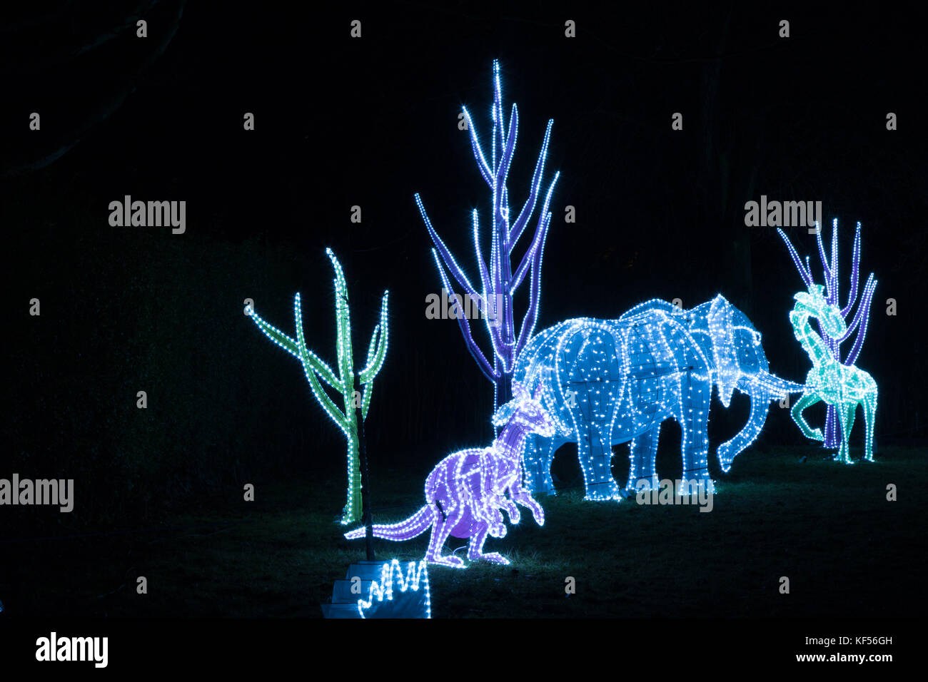 Animal illuminations at the Magical Lantern Festival,Roundhay Park ...