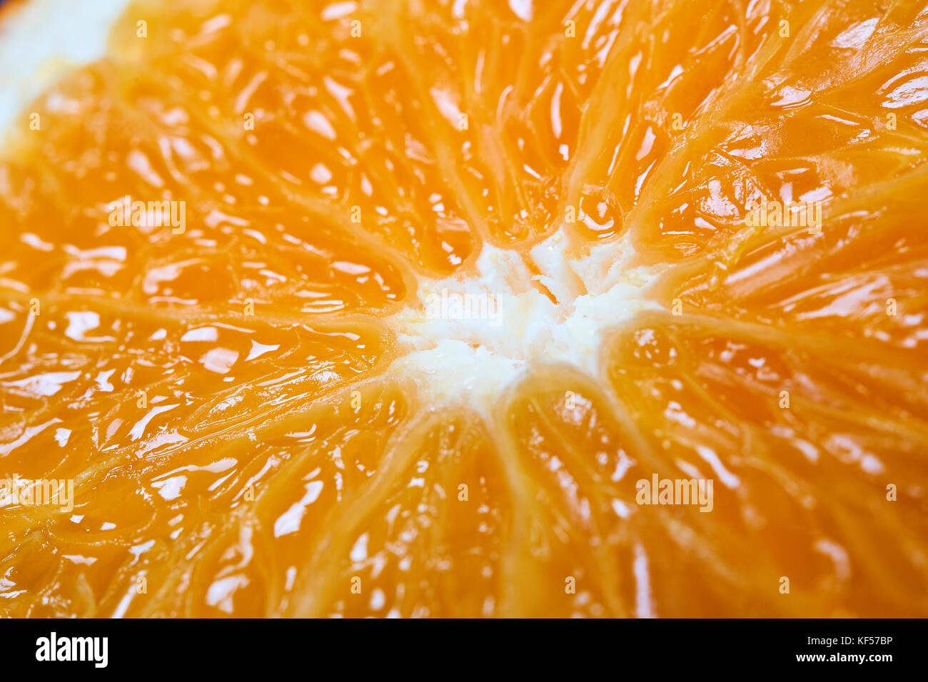 juicy orange slices Stock Photo - Alamy juicy orange slices Stock Photo - Alamy