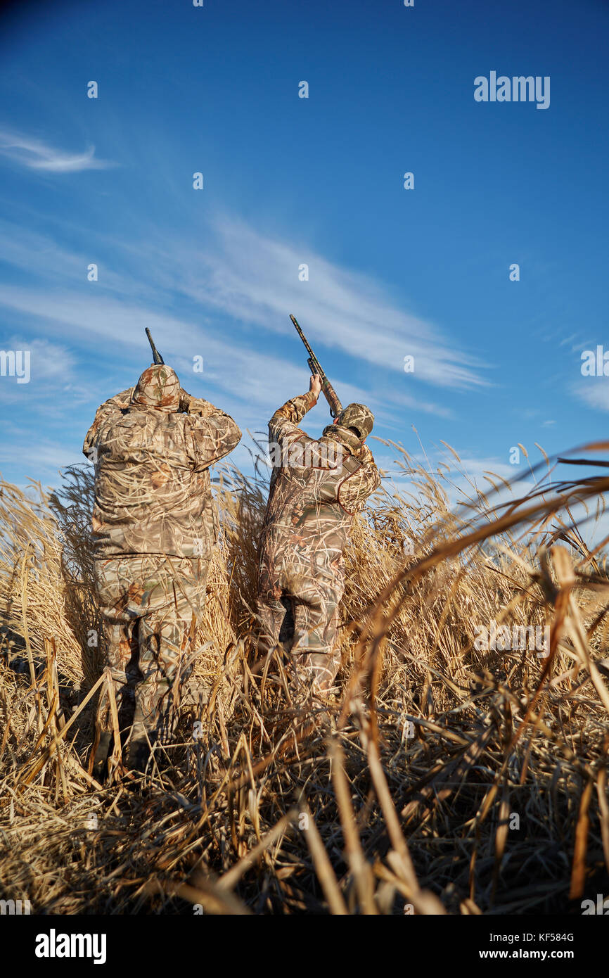 Rear view of two waterfowl hunters aiming into sky with rifles during ...