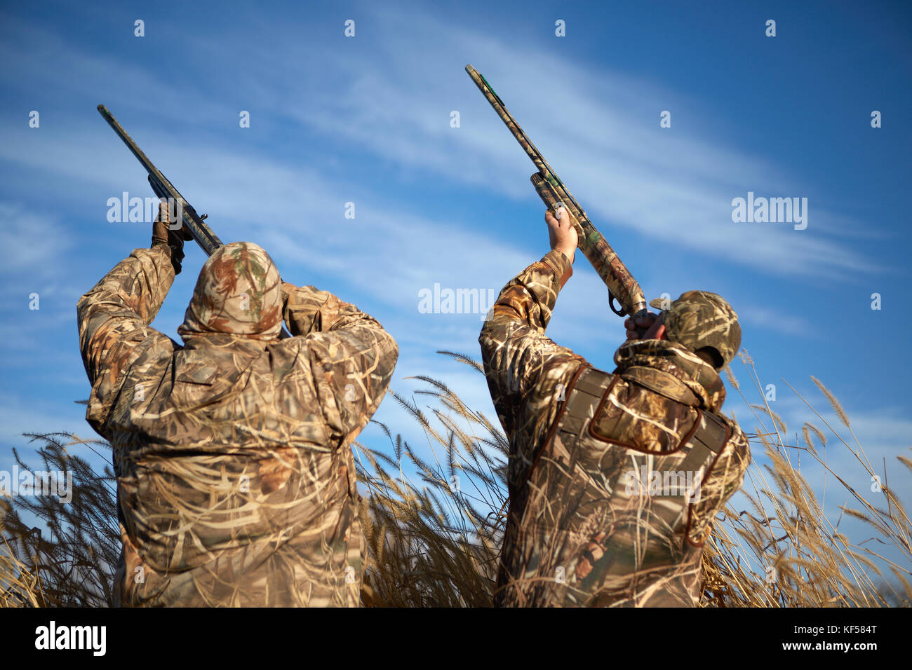 Two camouflaged waterfowl hunters aiming into sky with rifles during ...