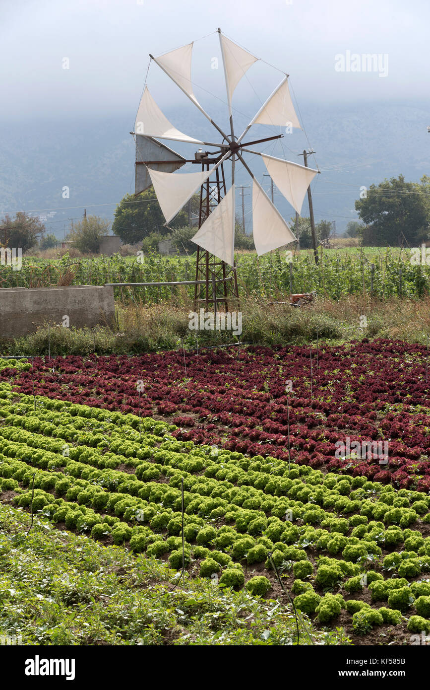 Windmill and mountains on the Lasithi plateau Crete, Greece. October ...