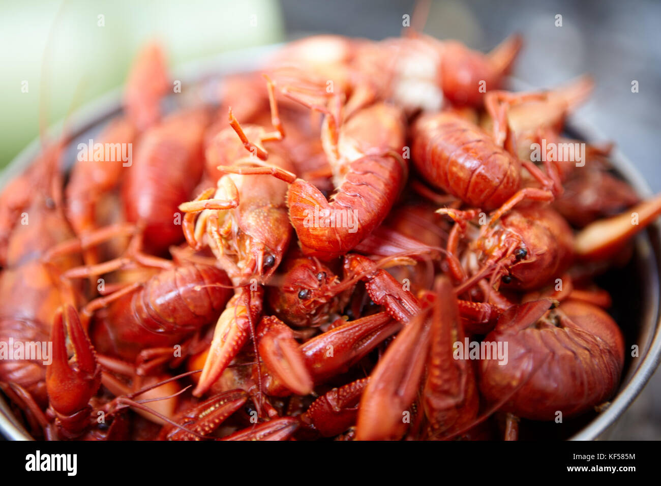 Pot of fresh red boiled freshwater crawdads or cray fish for a ...