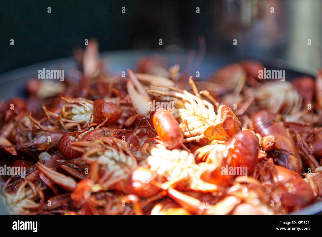 Close up detail of cooked red crawdads or freshwater lobster, crayfish ...
