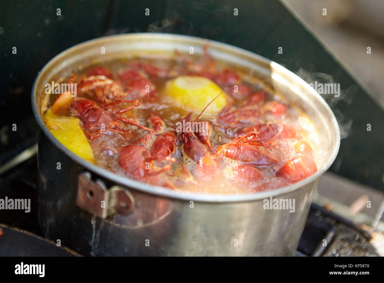 Cooking crayfish delicacy in saucepan hi-res stock photography and ...
