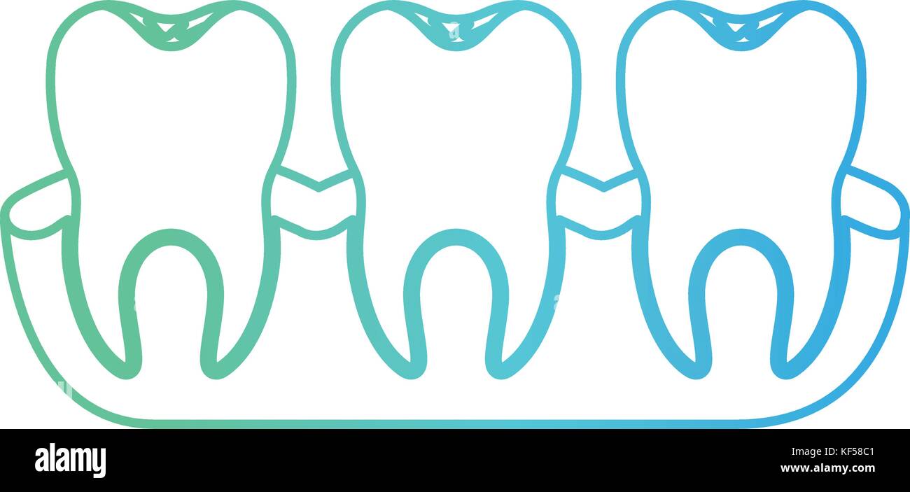 teeth with tooth root view in degraded green to blue color contour ...