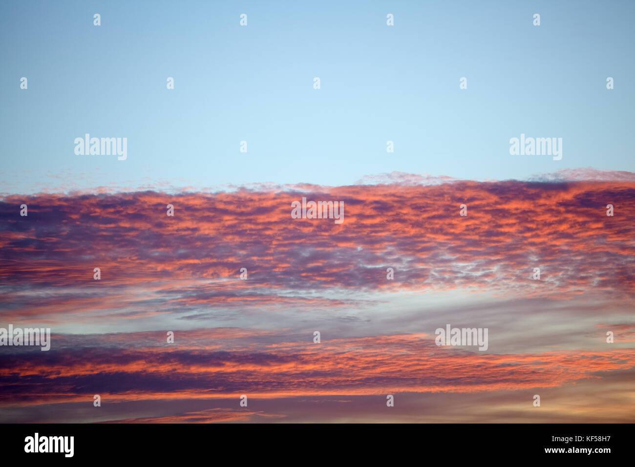 Full frame of dramatic sky with red clouds and copy space on blue at ...