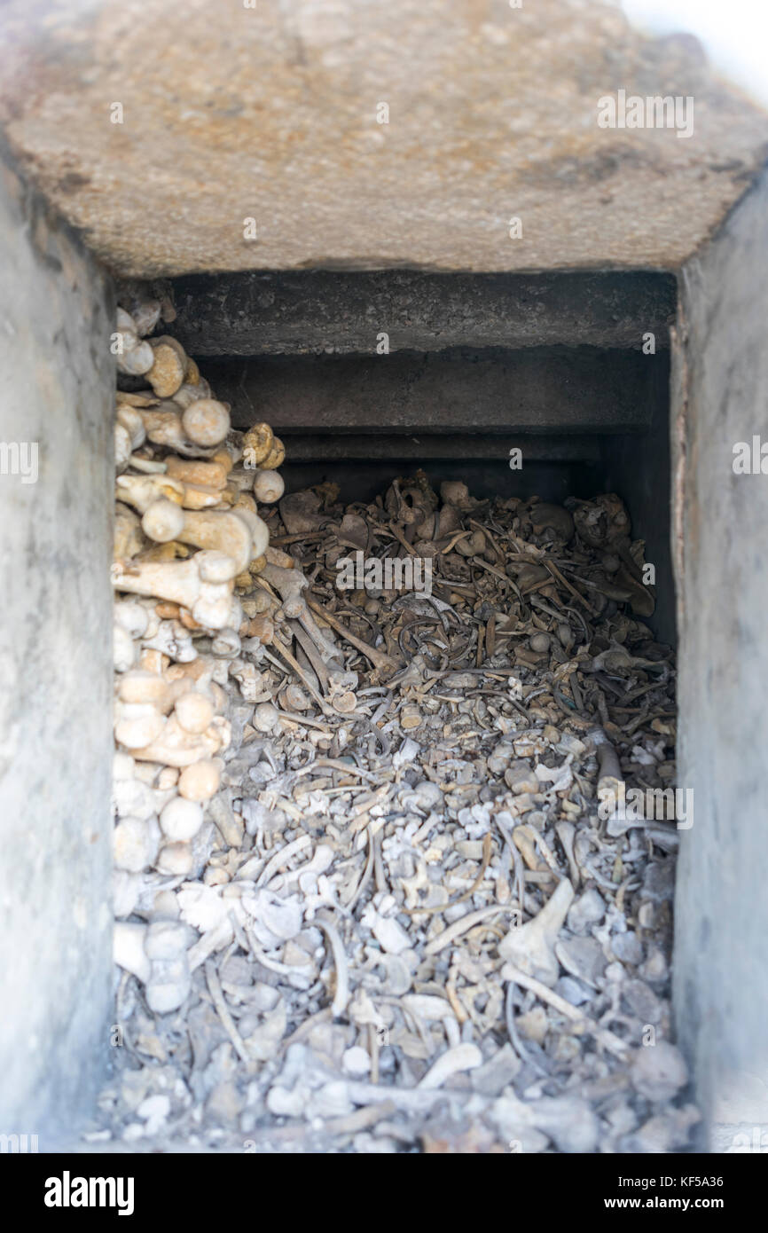 Battle of verdun bones hi-res stock photography and images - Alamy