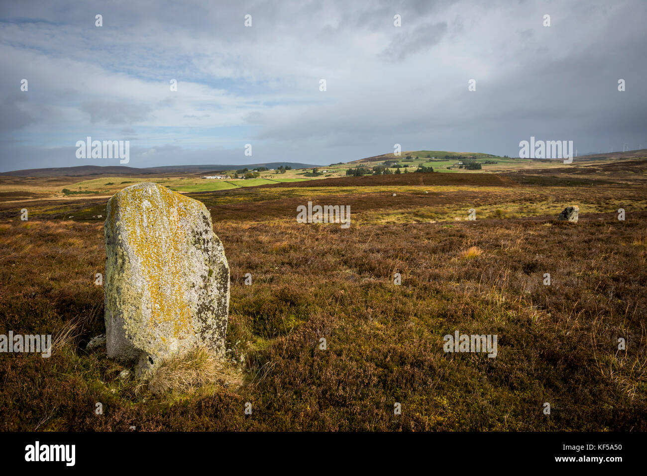 Achnagarron Standing Stones near Rogart, Sutherland, Scottish Highlands ...