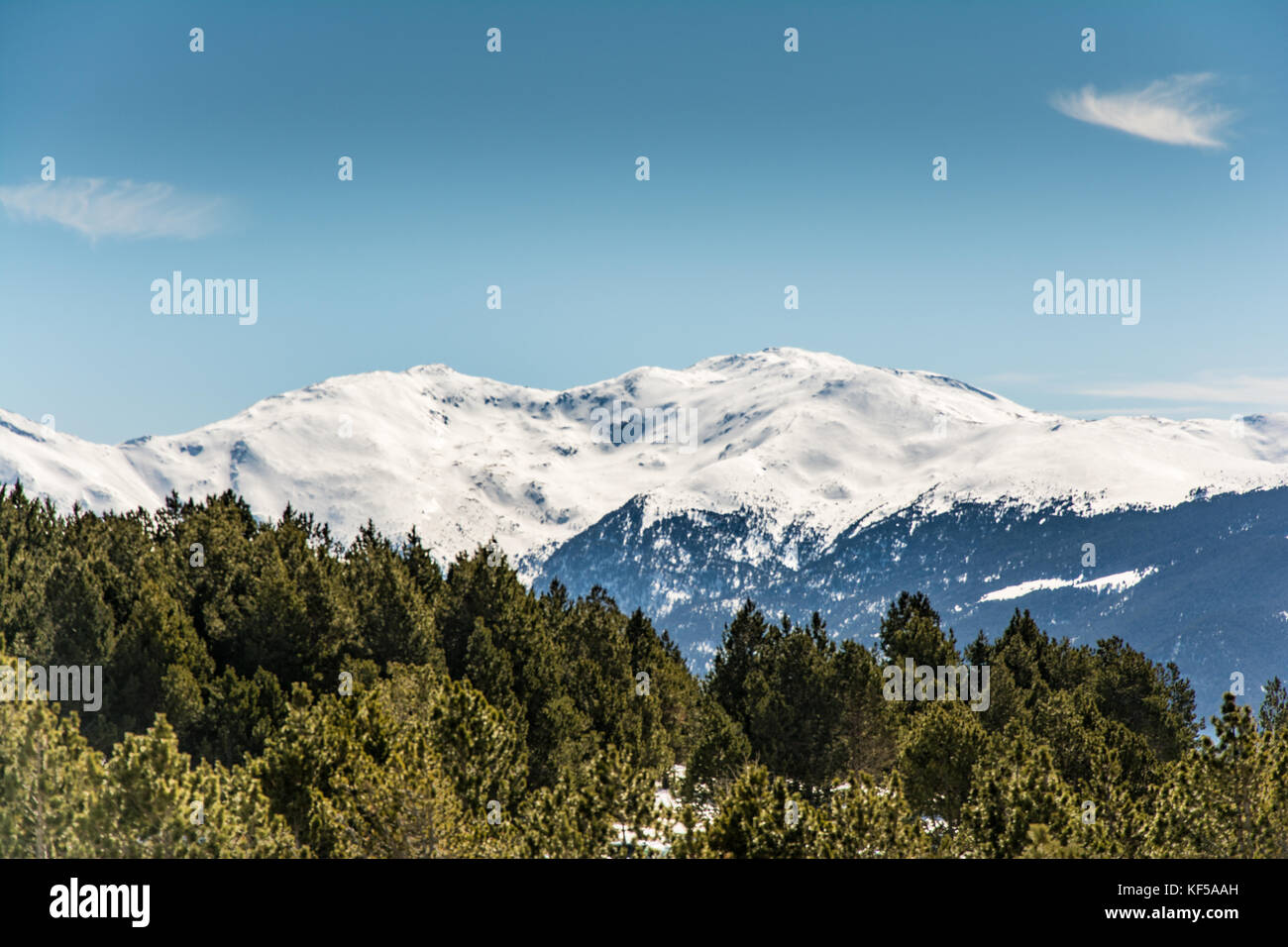 Landscape of forest and pyrenees mountains Stock Photo - Alamy