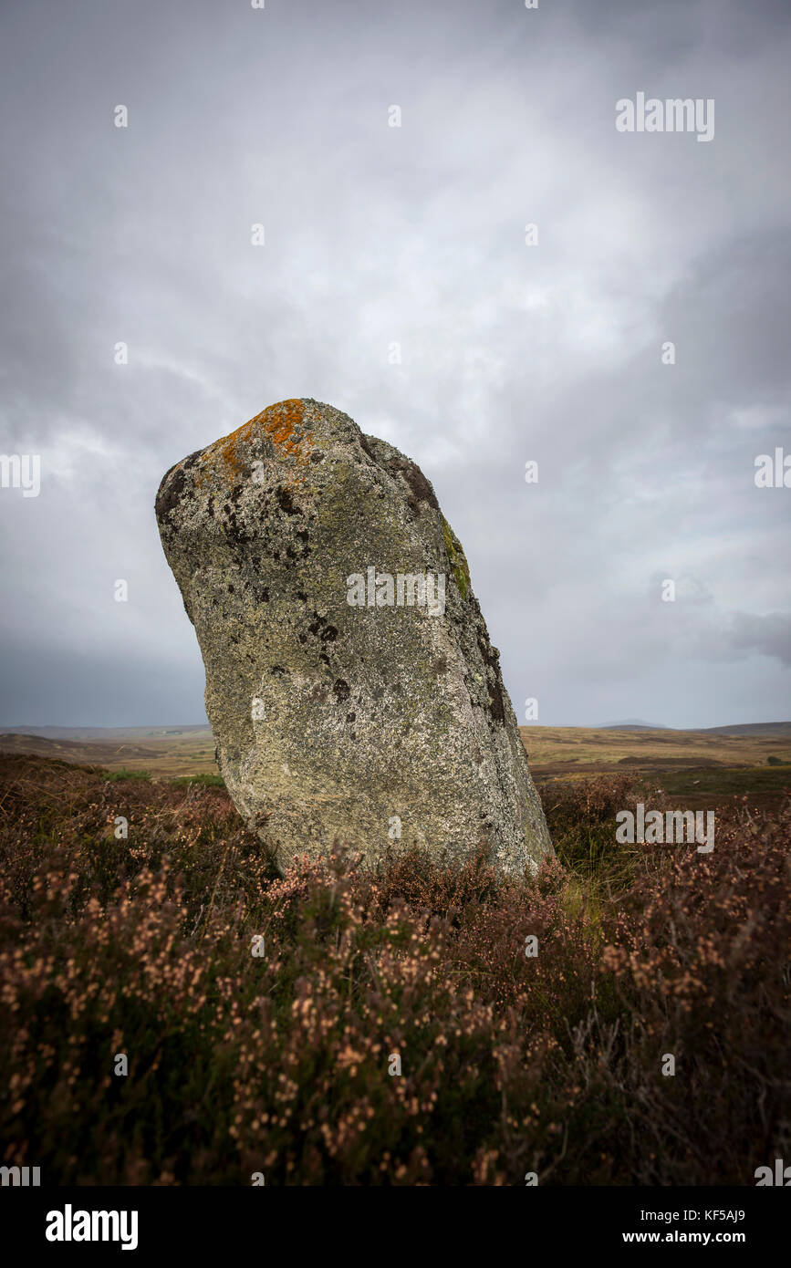 Achnagarron Standing Stones near Rogart, Sutherland, Scottish Highlands ...
