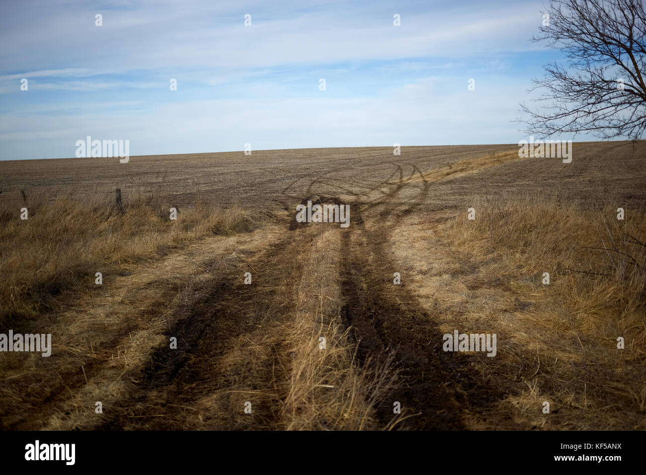 Dirt track leading through dry brown grassy farmland and fields in ...