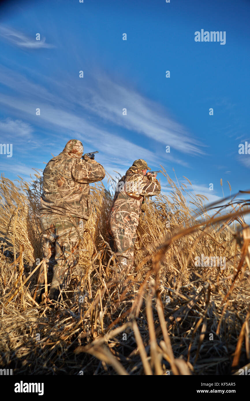 Rear view of two hunters shooting during bird hunting in field on sunny ...