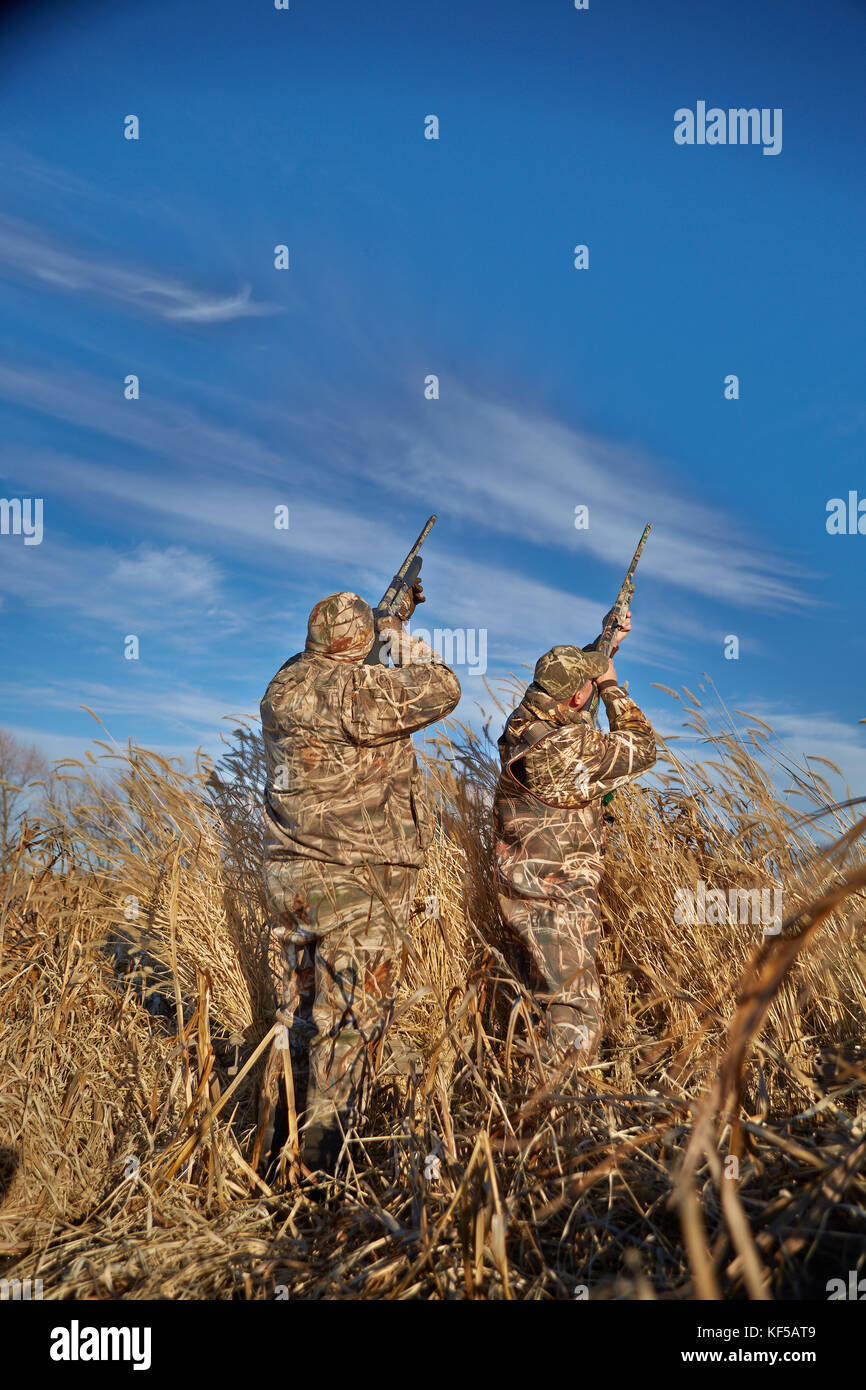 Two camouflaged hunters aiming up into sky during duck hunting on sunny ...