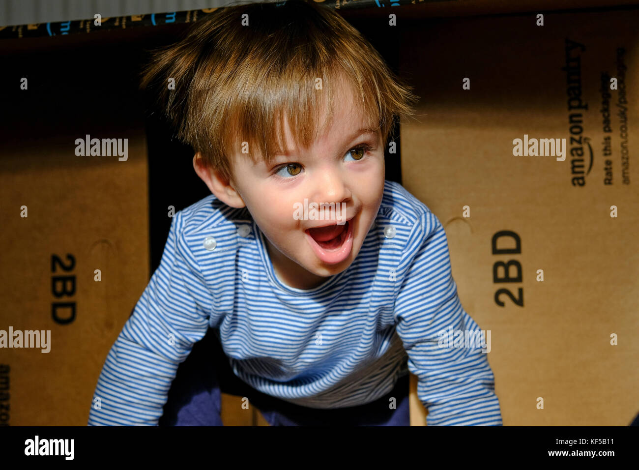 A toddler boy playing inside a large cardboard delivery box from Amazon ...