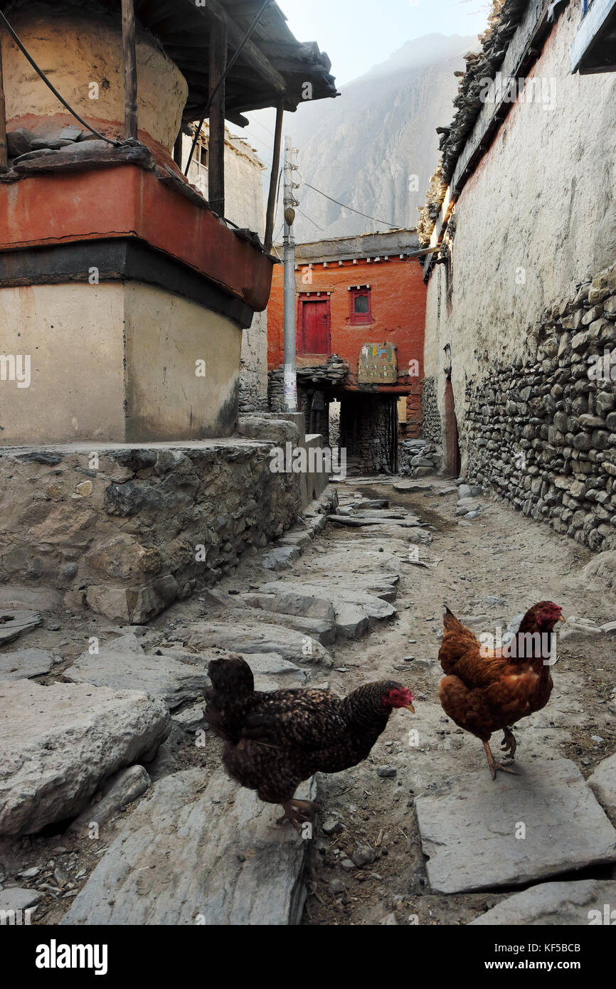 Ancient nepal hi-res stock photography and images - Alamy