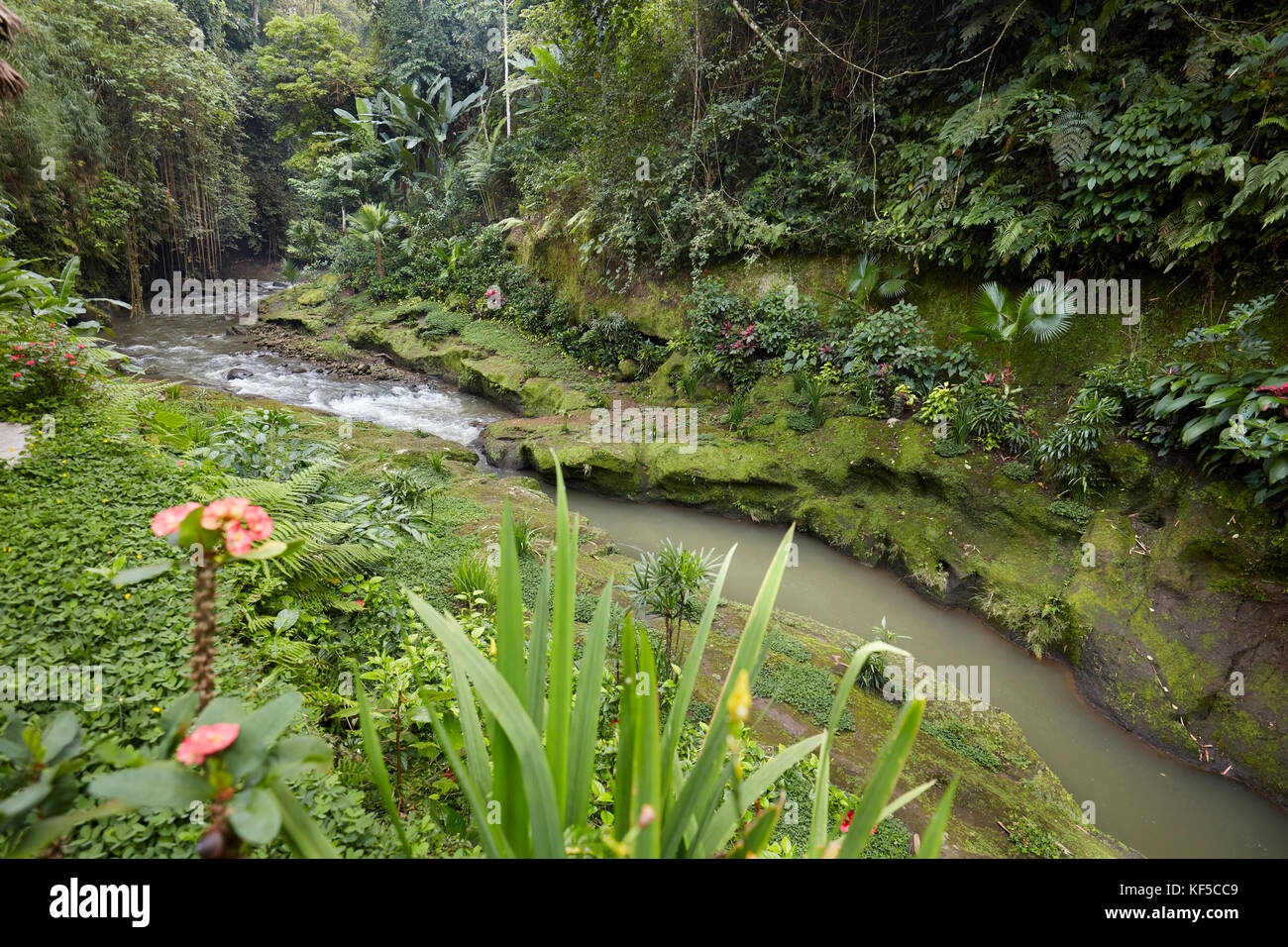 Ubud jungle hotel hi-res stock photography and images - Alamy