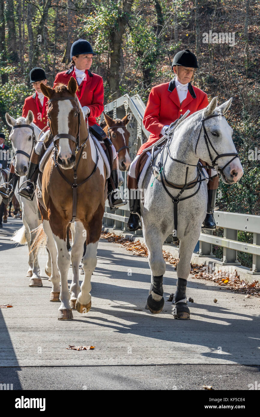 Fox hunting hi-res stock photography and images - Alamy