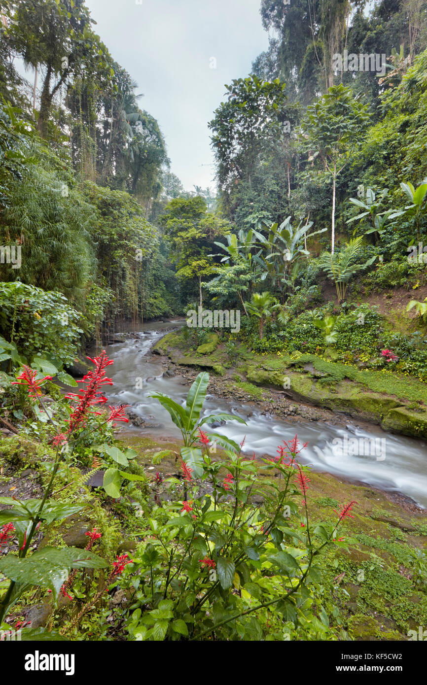 Small River High Resolution Stock Photography and Images - Alamy