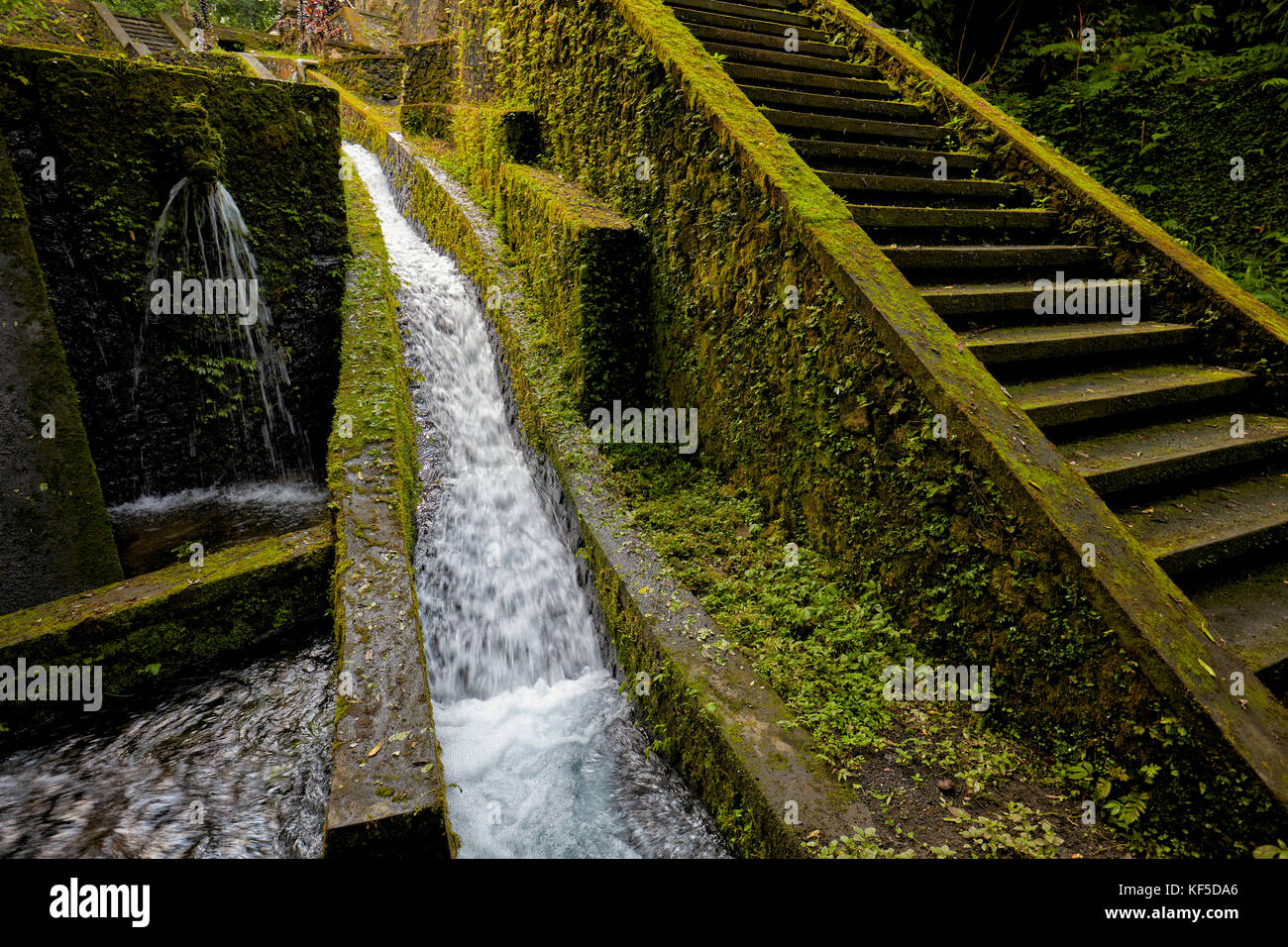 Balinese holy water spring hi-res stock photography and images - Alamy