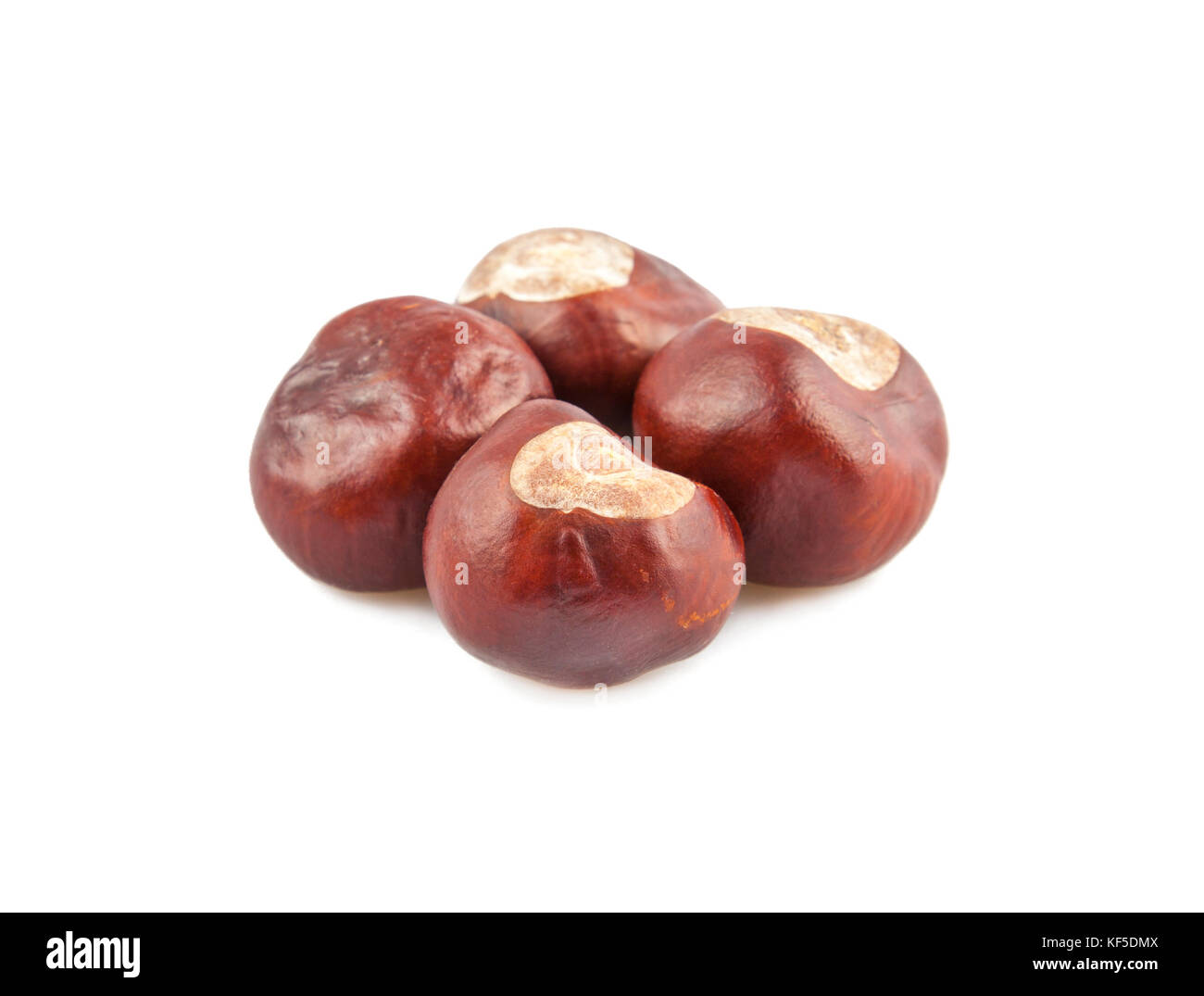 Group of objects organic hi-res stock photography and images - Alamy