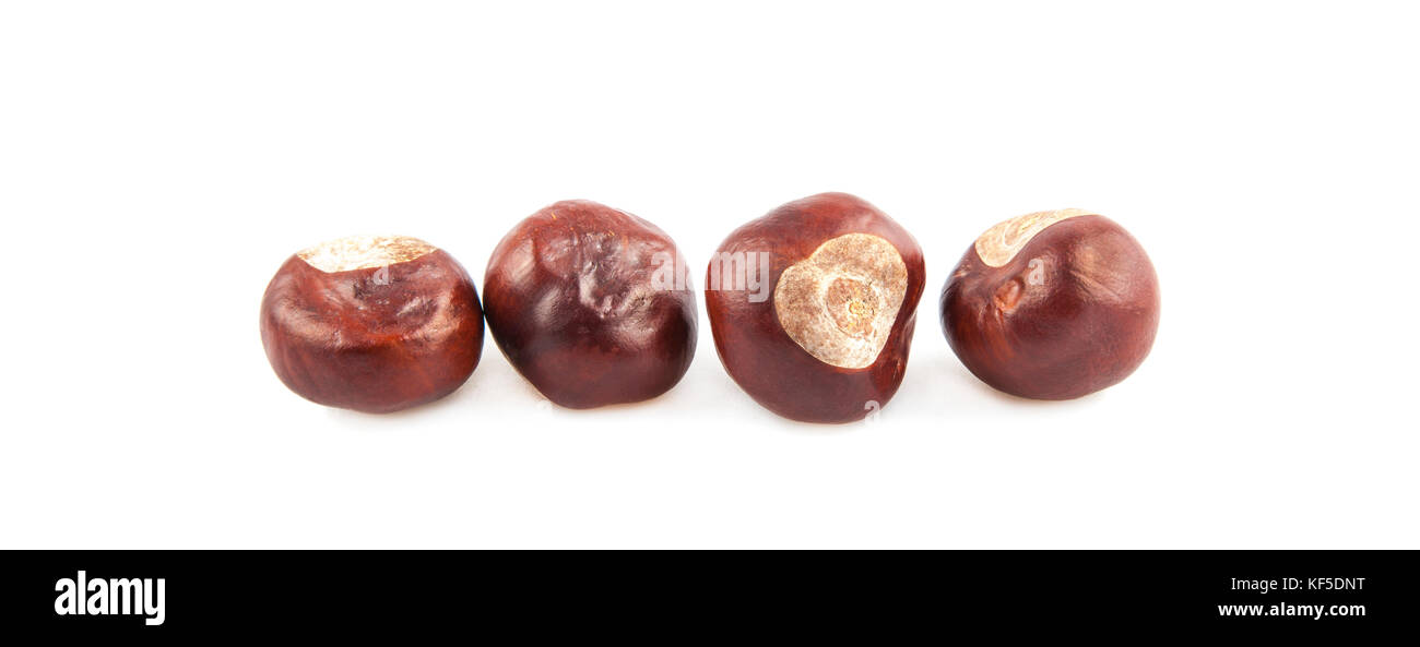 Group of chestnuts on white Stock Photo - Alamy