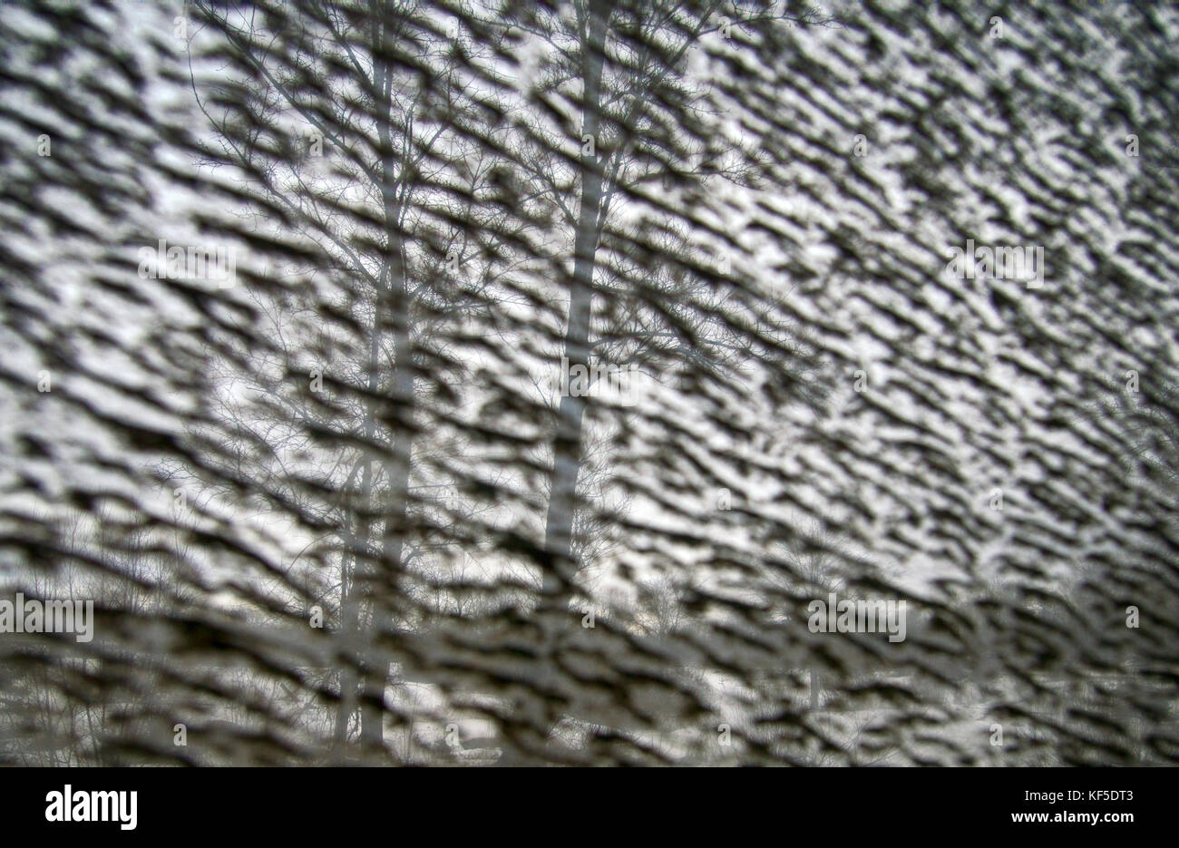 Concept Zebra striped background, monotone function, polluted area ...