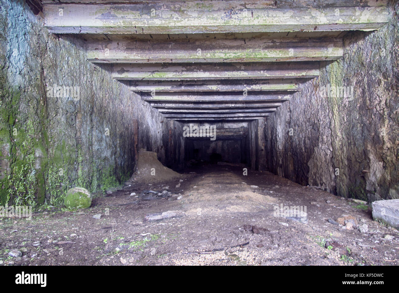 room is a long hall underground military facility end of the world ...
