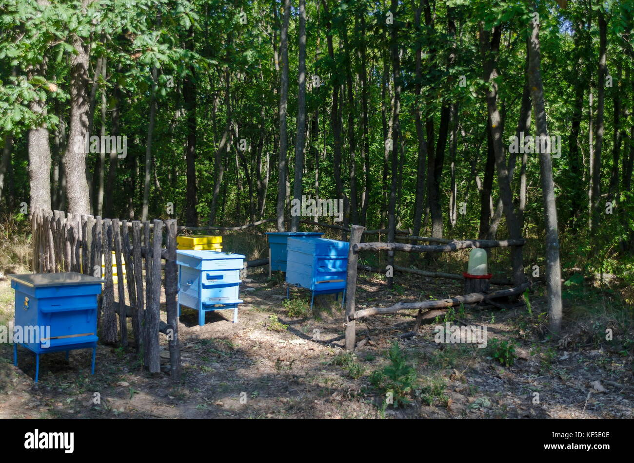 View toward apiary with beehive and watering trough in the field at ...
