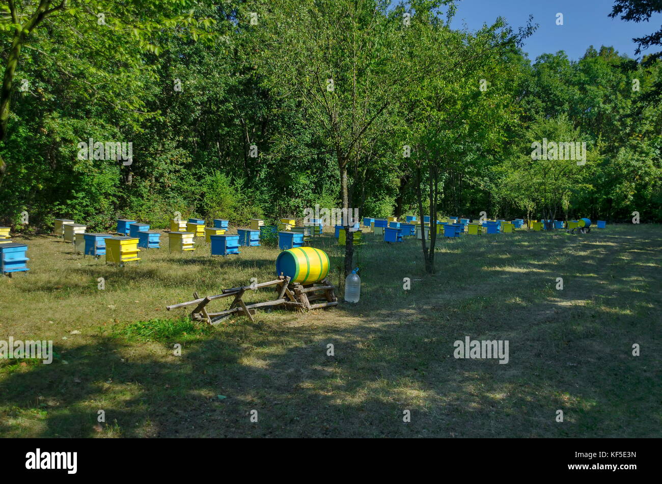 Beehive field hi-res stock photography and images - Alamy