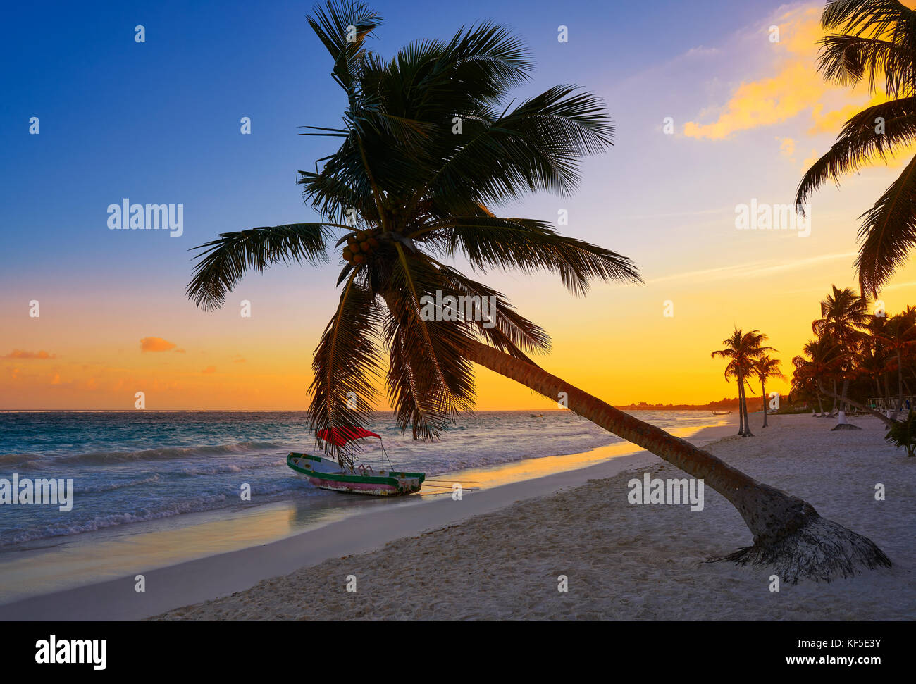 Tulum beach sunset palm tree in Riviera Maya at Mayan Mexico Stock ...