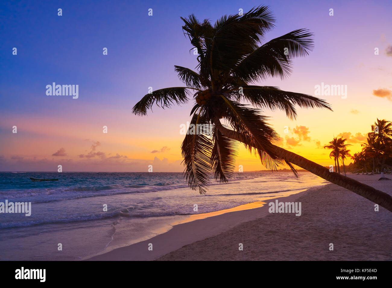Tulum beach sunset palm tree in Riviera Maya at Mayan Mexico Stock ...