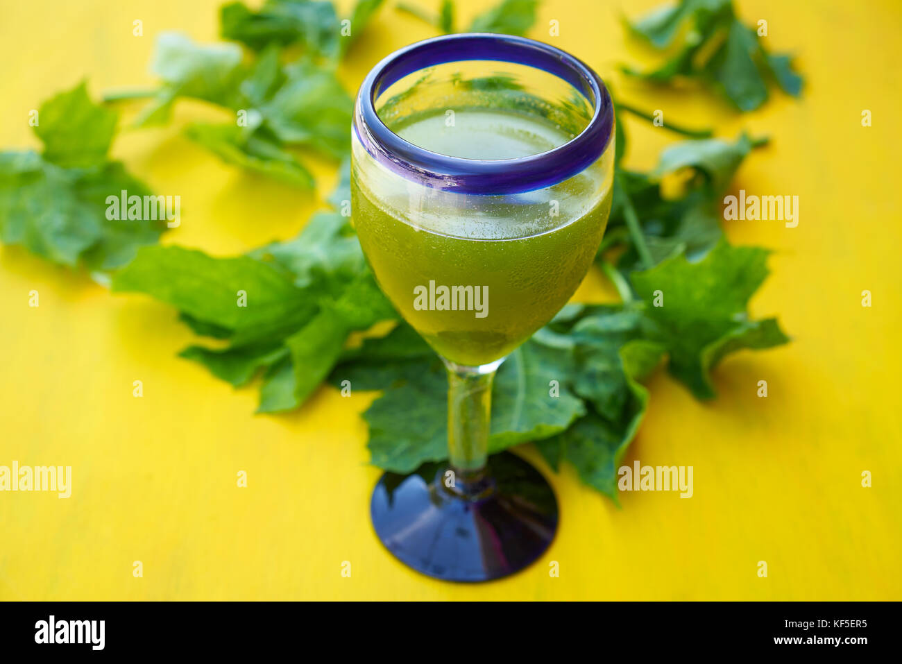 Agua de Chaya water Mayan Tree Spinach leaves beverage from Mexico ...