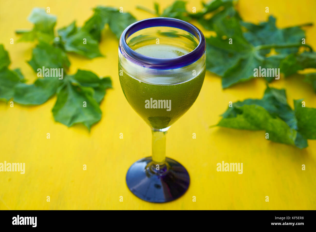 Agua de Chaya water Mayan Tree Spinach leaves beverage from Mexico ...
