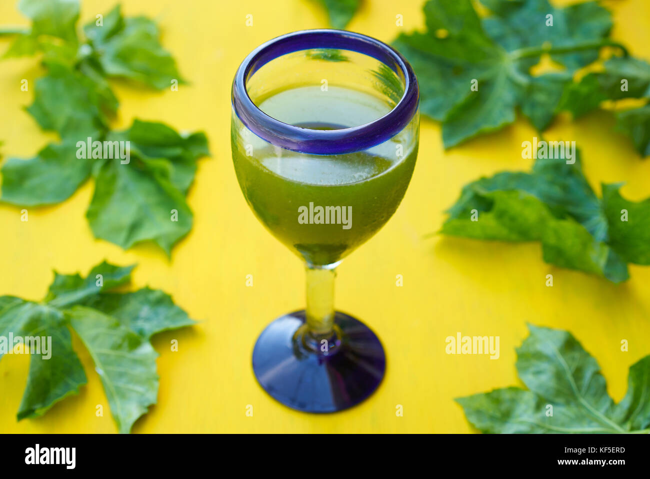 Agua de Chaya water Mayan Tree Spinach leaves beverage from Mexico ...