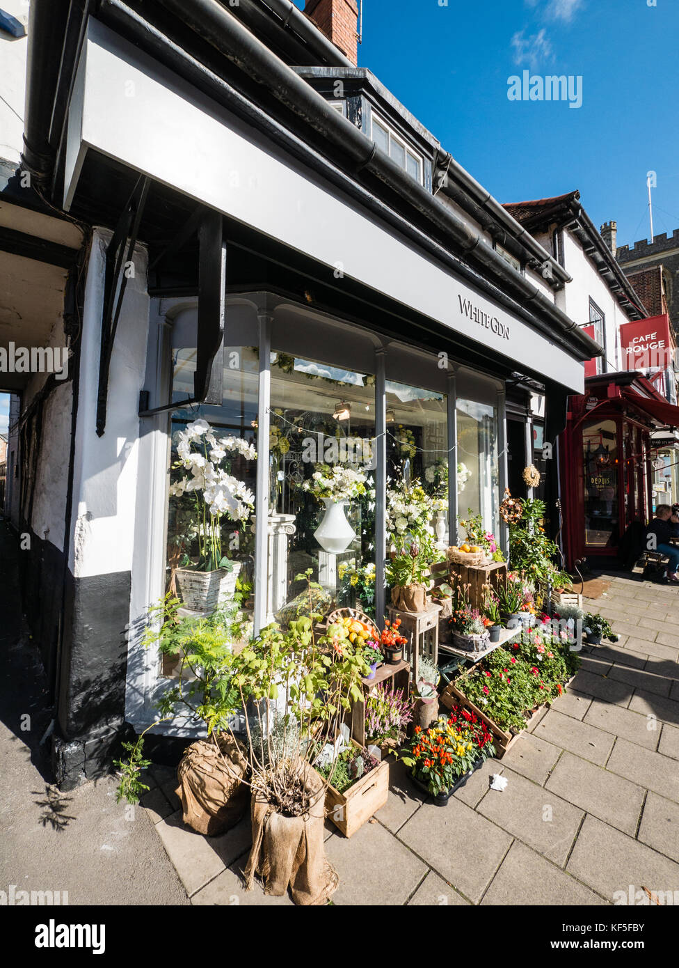 White GDN, Garden Shop, Henley-on-Thames, Oxfordshire, England Stock ...