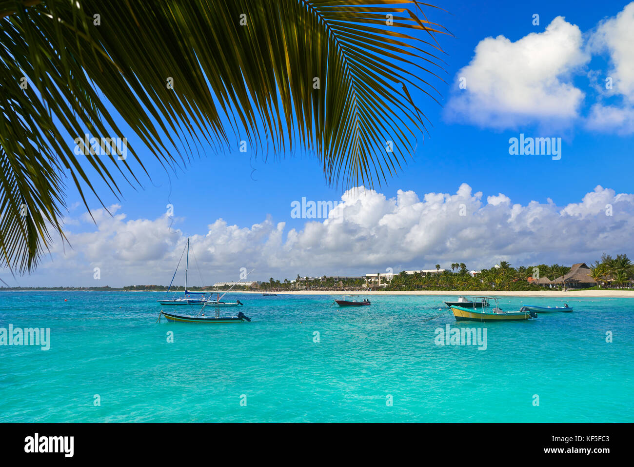 Akumal coconut palm trees beach in Riviera Maya of Mayan Mexico Stock ...