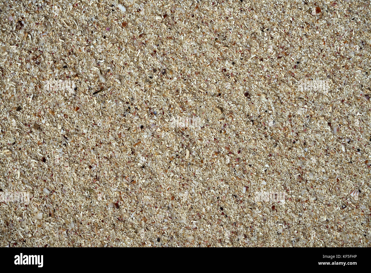 Mayan Riviera sand detail with broken shell pieces in Mexico Stock ...