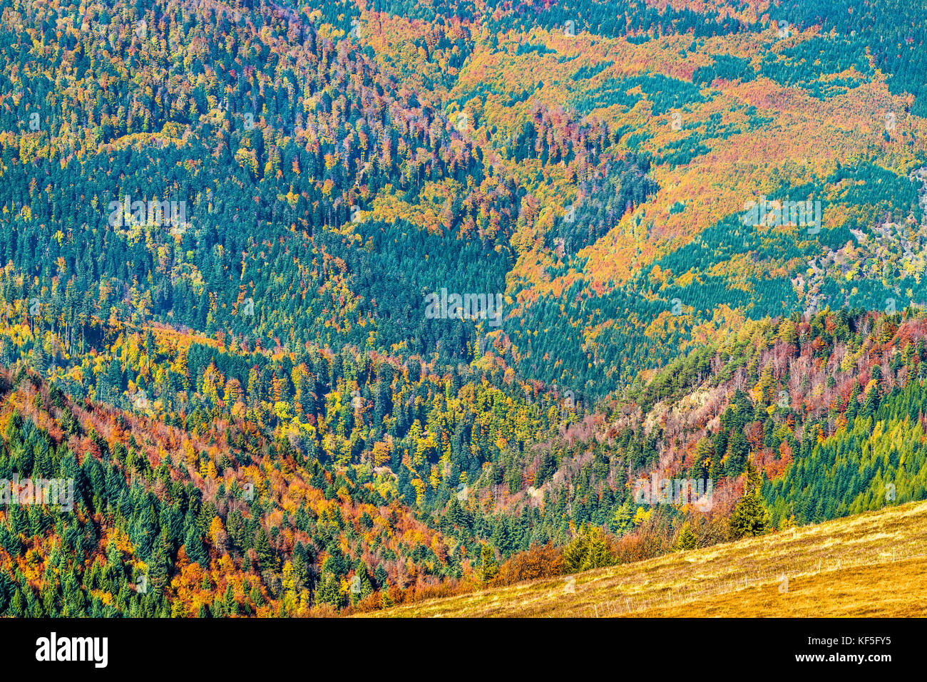 Vosges france hi-res stock photography and images - Alamy