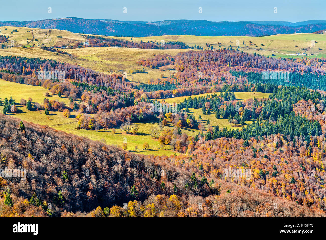 Colorful autumn landscape of the Vosges Mountains in Alsace, France ...