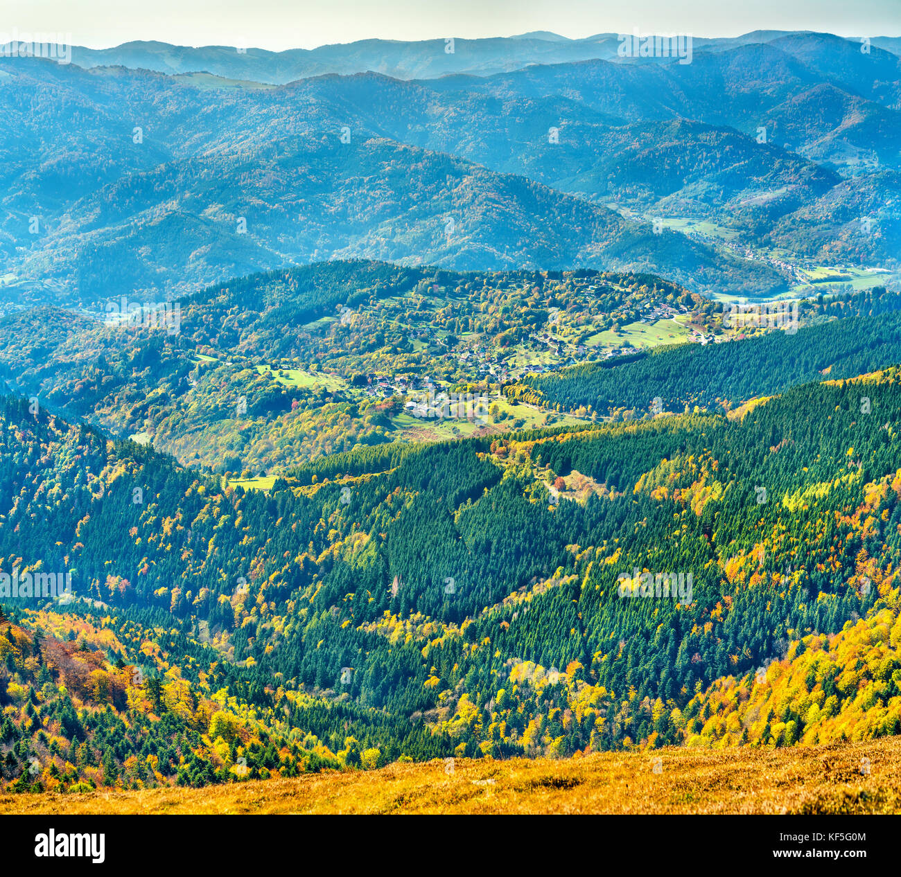 Colorful autumn landscape of the Vosges Mountains in Alsace, France ...