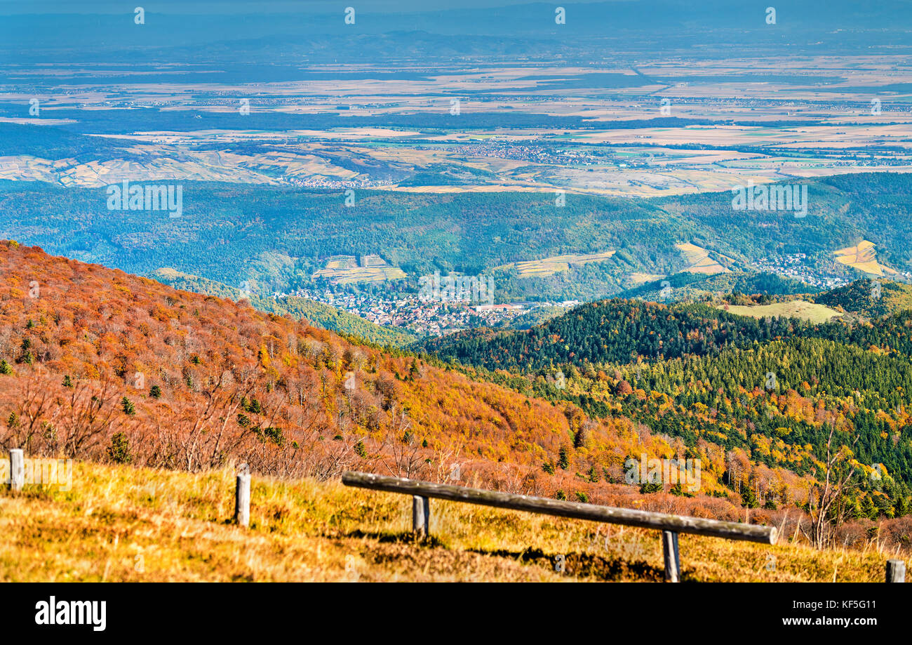 Colorful autumn landscape of the Vosges Mountains in Alsace, France ...