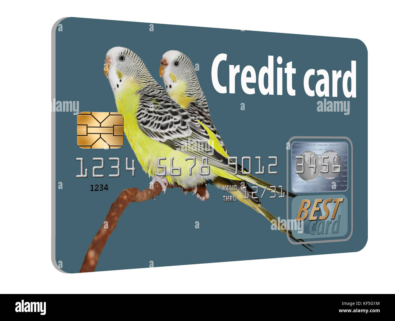 Using a credit card to pay veterinarian is illustrated here Stock Photo ...